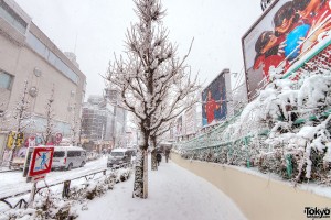 Snow in Harajuku & Shibuya on Coming of Age Day 2013 – Pictures & Video ...