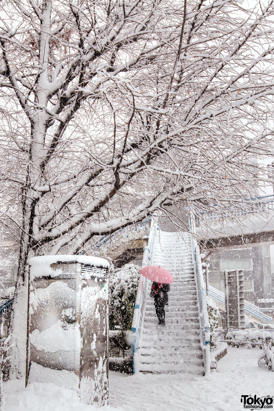 Snow in Harajuku & Shibuya on Coming of Age Day 2013 – Pictures & Video ...