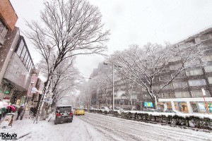 Snow in Harajuku & Shibuya on Coming of Age Day 2013 – Pictures & Video ...